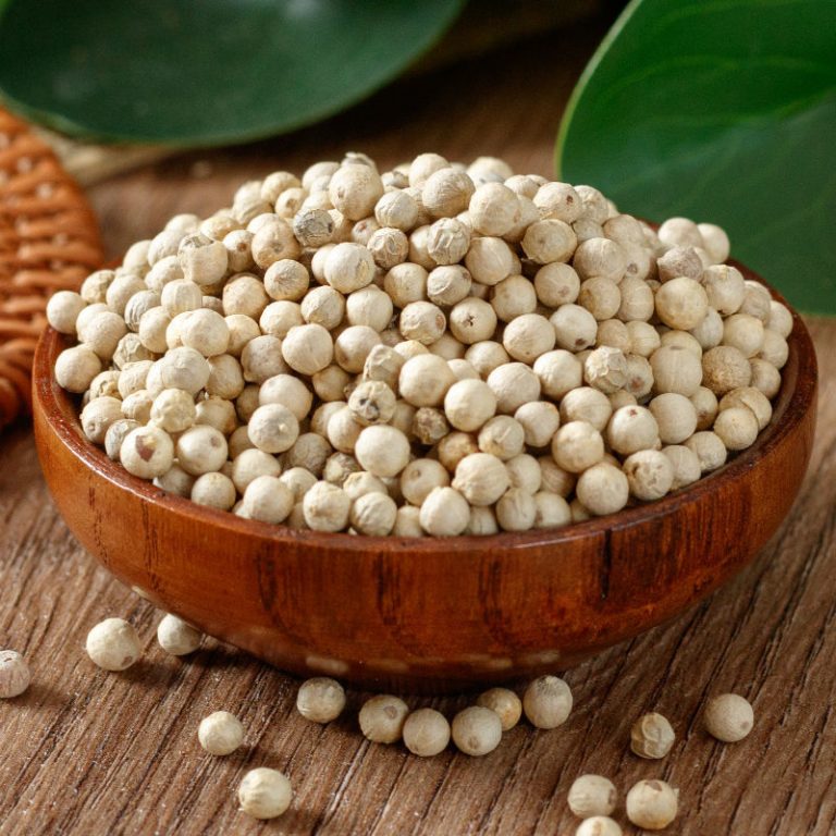 WESTERN FOODS COMPANY LIMITED