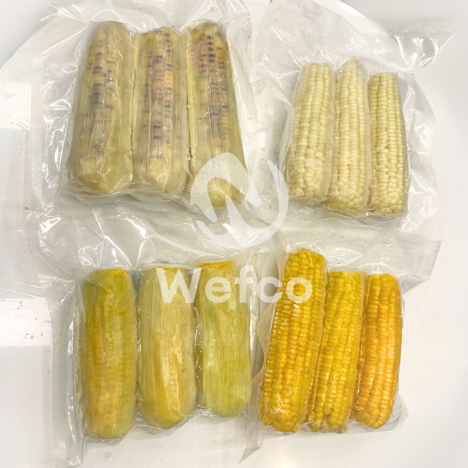 WESTERN FOODS COMPANY LIMITED