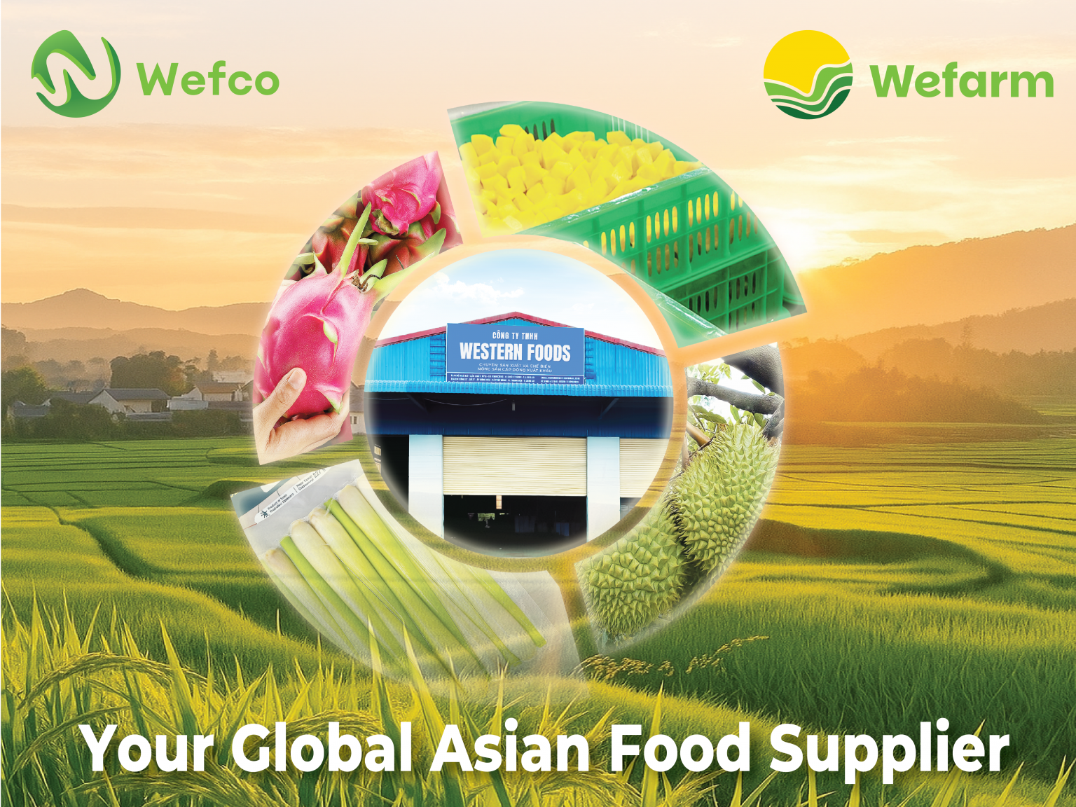 WESTERN FOODS COMPANY LIMITED